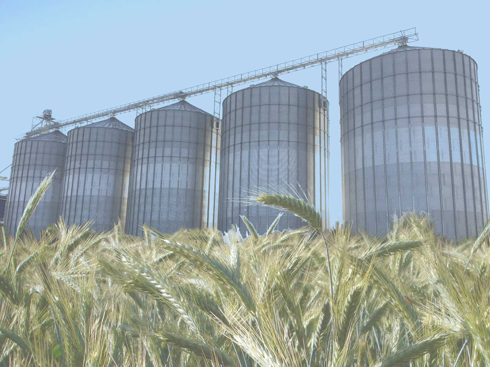 Grain Bin Monitoring Systems - Automated Grain Storage